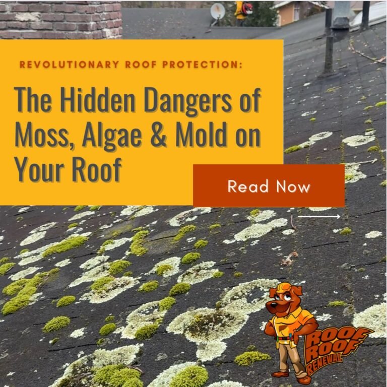Why Moss, Algae & Mold Are Bad for Your Shingles – And How to Stop Them ...